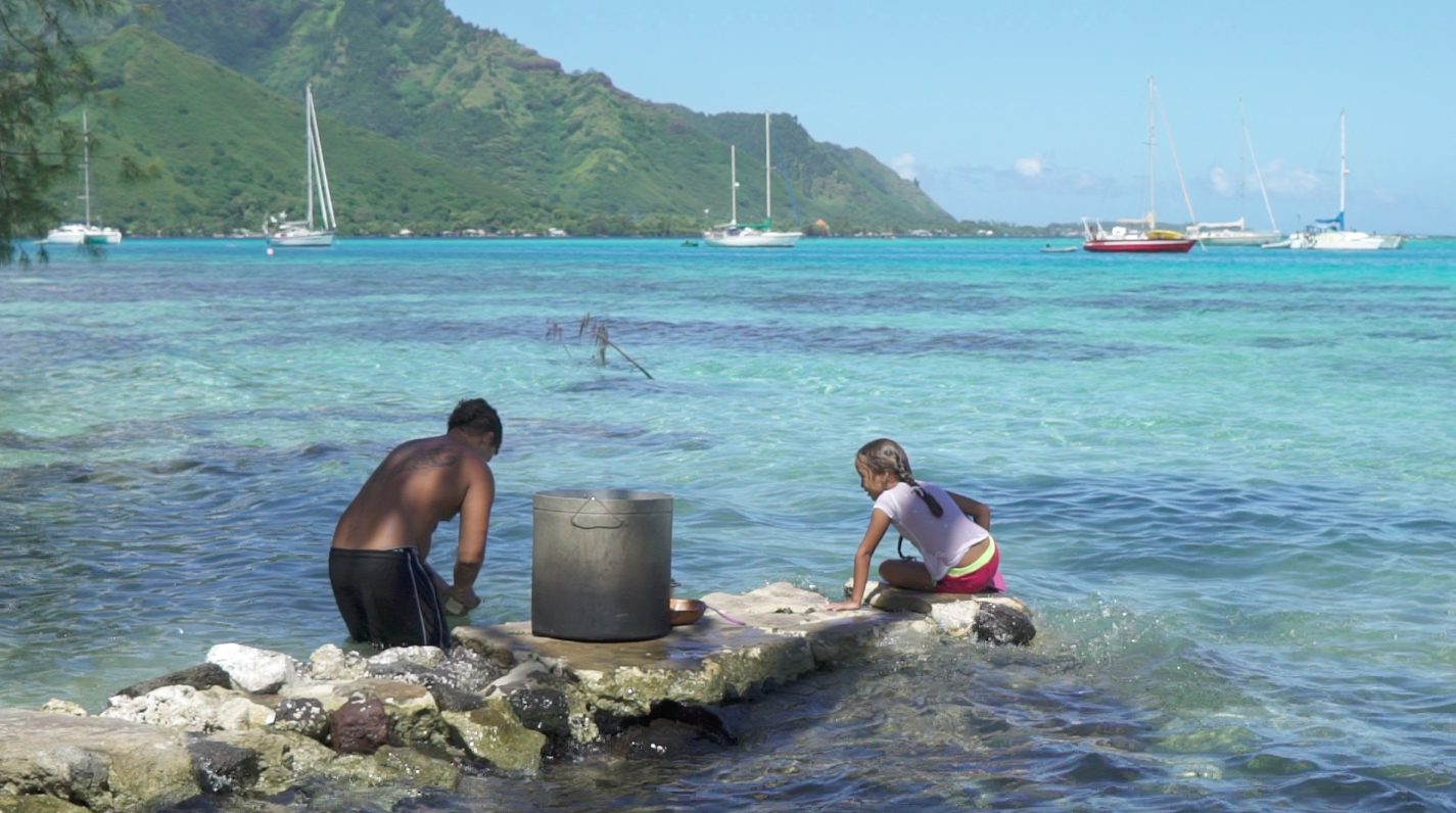 ‘Amanaki Fo’ou | French Polynesia Partnerships for Diabetes Prevention
